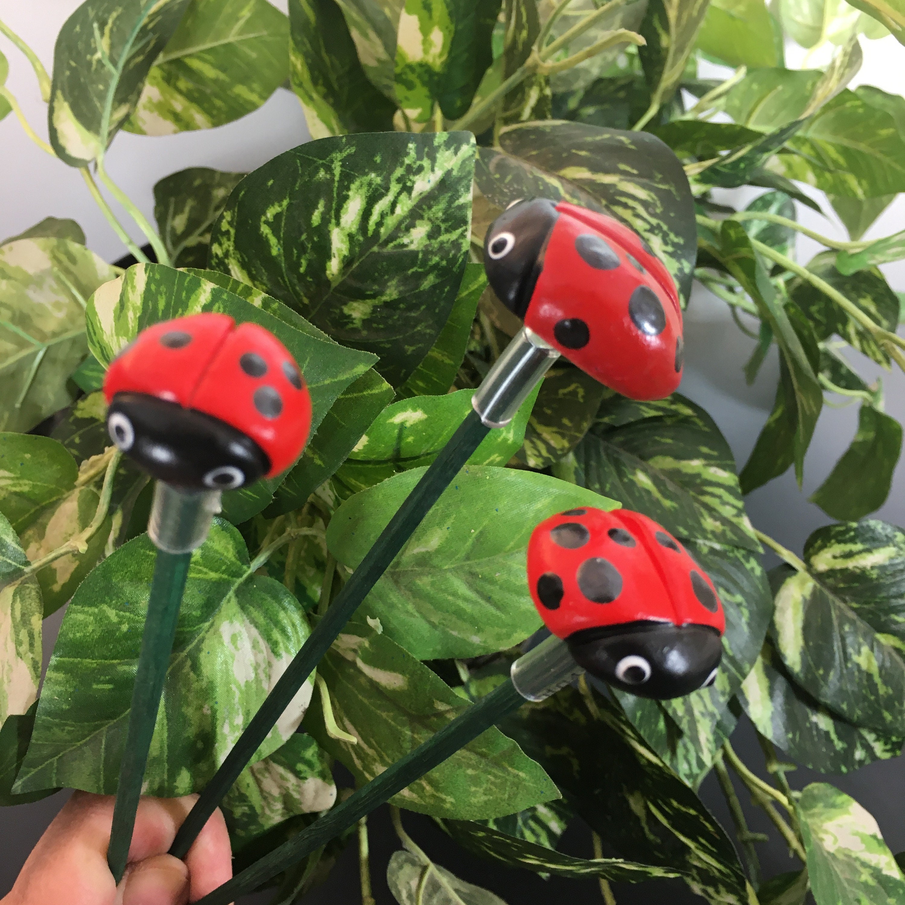 3 Ceramic Ladybug Garden Stakes, Garden Stakes,Potted plants, Great ...