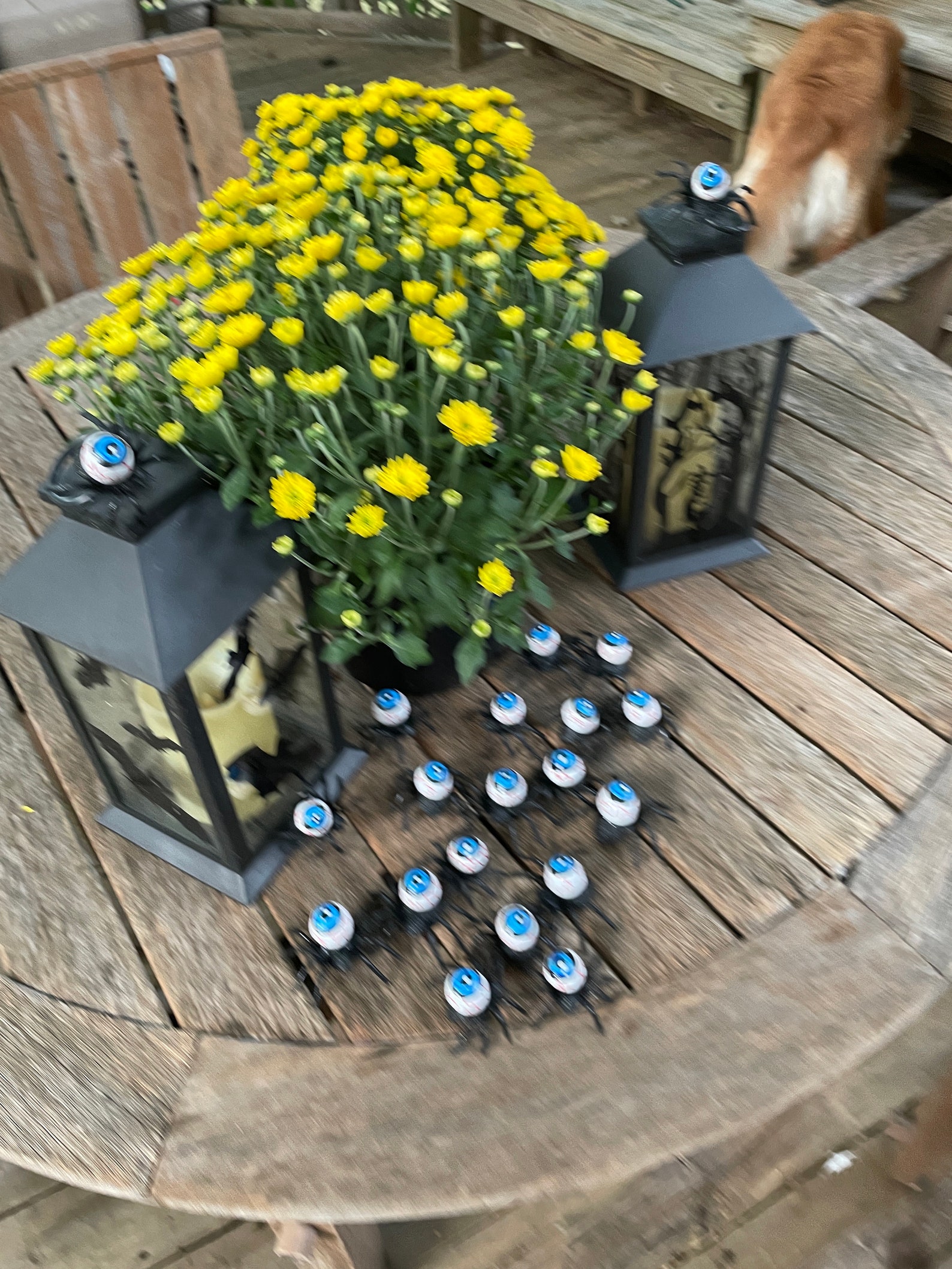 Creepy Spider Art Eyeball Orb Halloween Prop Spider Art Spooky | Etsy