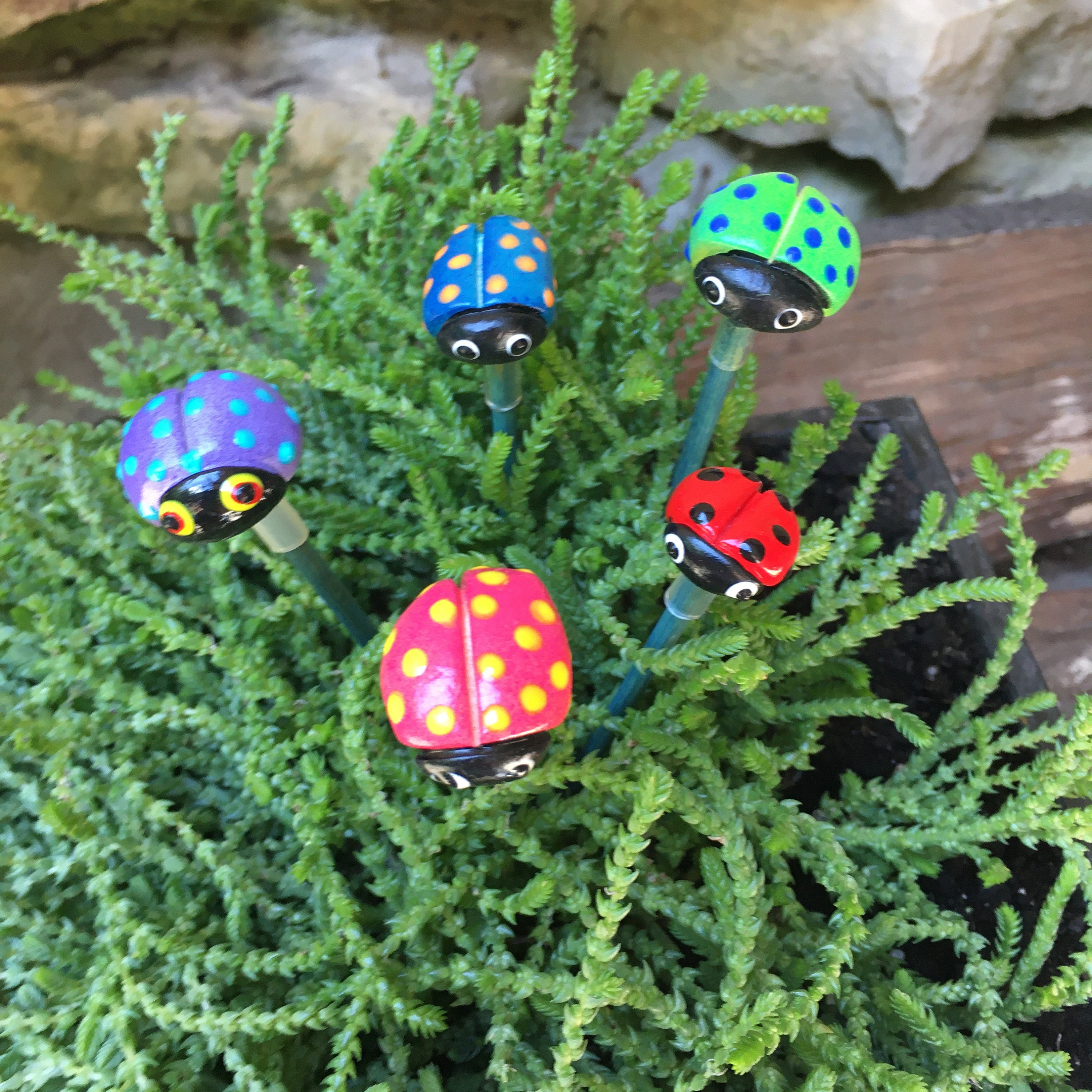 5 Ceramic Ladybug Garden Stakes, Ladybugs, Garden Stakes,Potted plants ...
