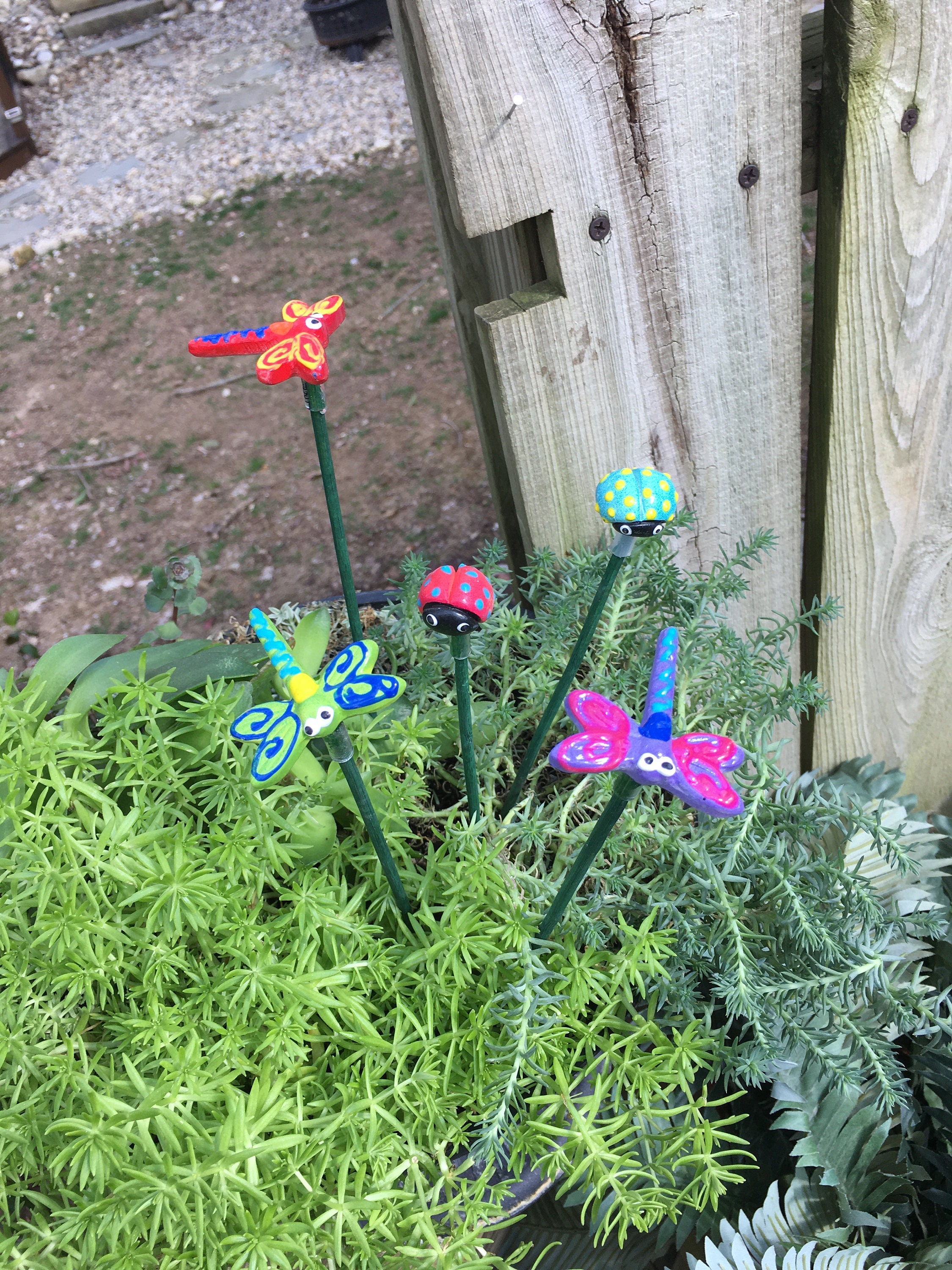5 Ceramic Garden bug Stakes,3 dragonflies and 2 garden bugs, Garden ...