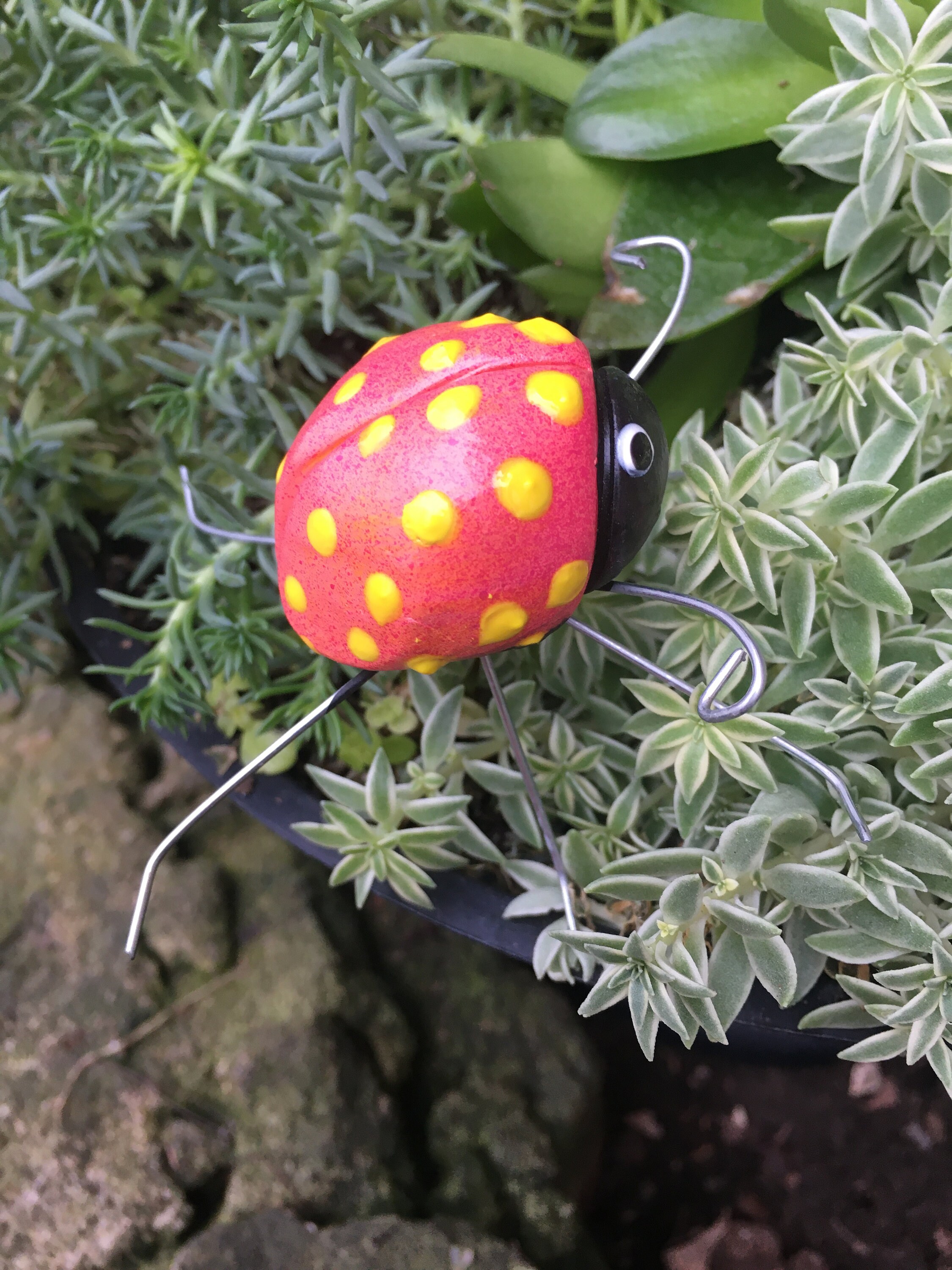 Screen Bug, Screen Bug Sculpture,Clay Screen Bugs, Insect Art Sculpture ...