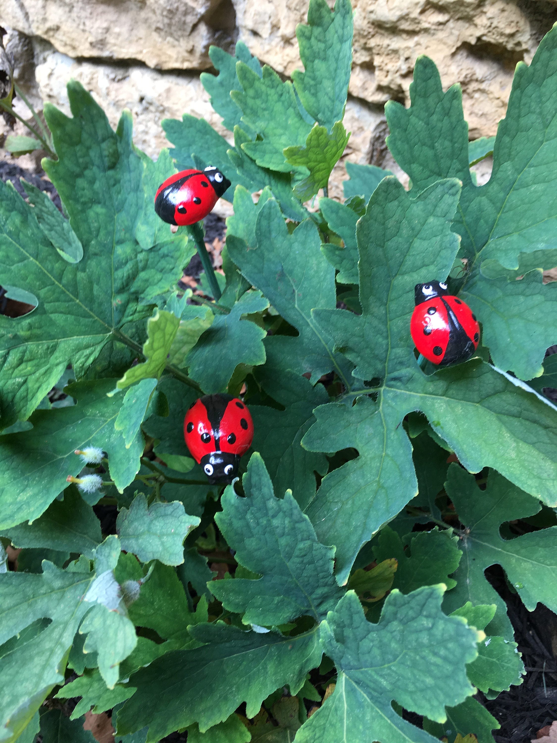 3 Ceramic Ladybug Garden Stakes, Garden Stakes,Potted plants, Great ...