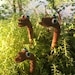 3 Ceramic Worms for Your Garden or Planters,8'' Garden Decoration ...