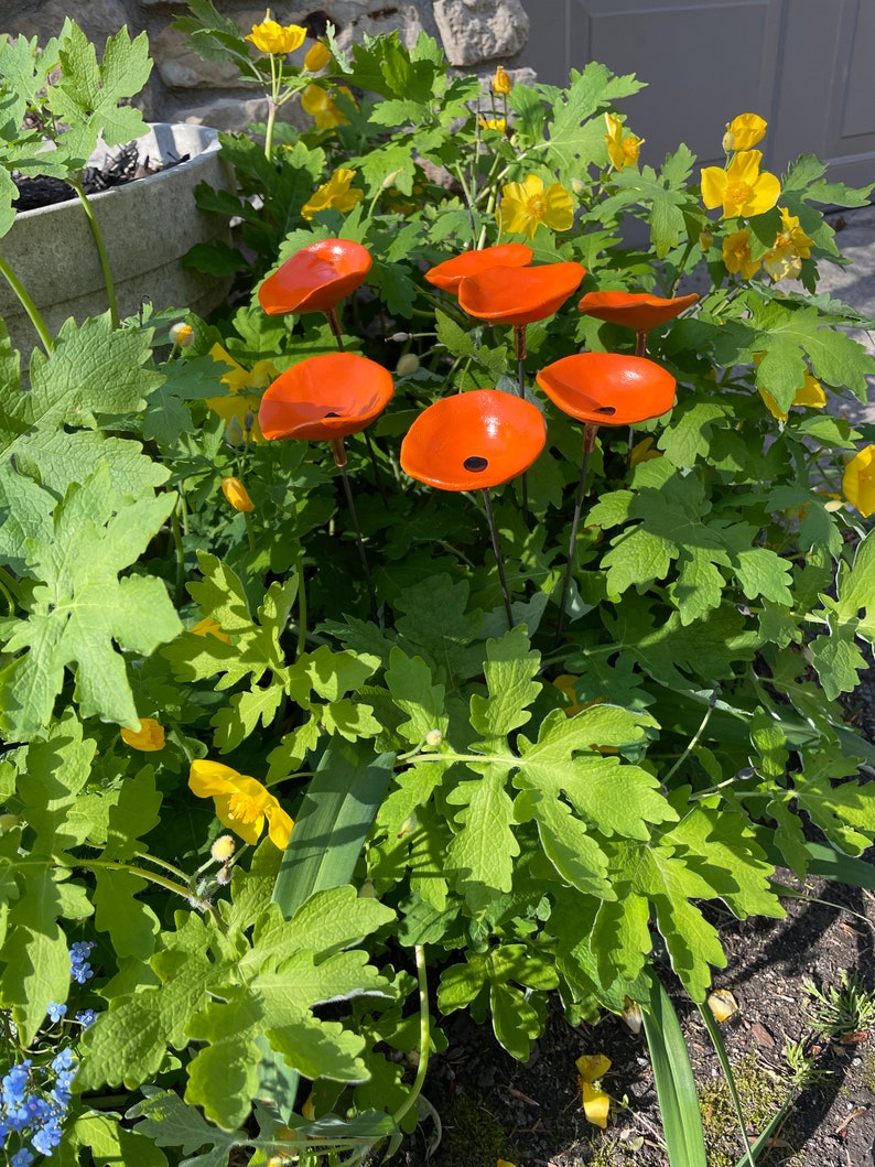 Set of 7 Mini Poppy Flower Stakesorange Poppy Flower Pot - Etsy