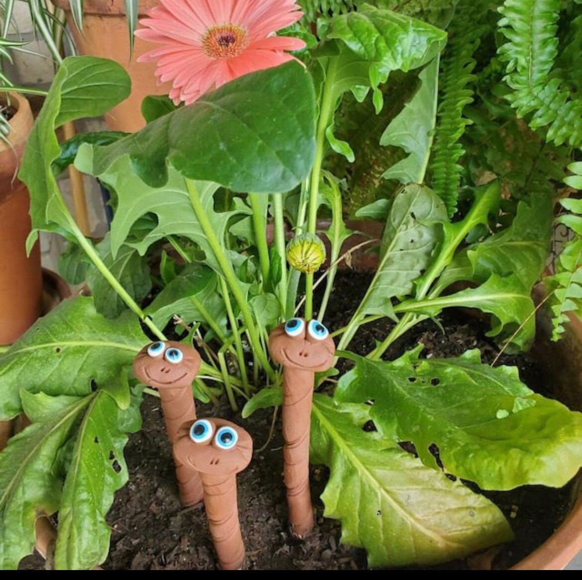 Fairy Garden Worms,Water Sensor Worms for your Garden or planters,8 ...