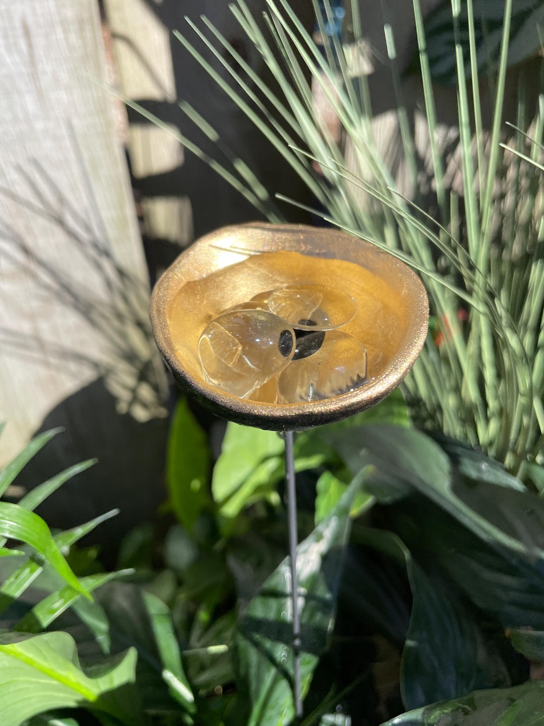 Bee and Butterfly Puddler Pollinator Water Station Insect Hydration ...