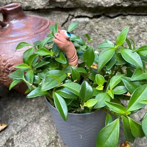 Worms for Your Garden,water Sensor Worm,garden Worm Decoration, Potted ...