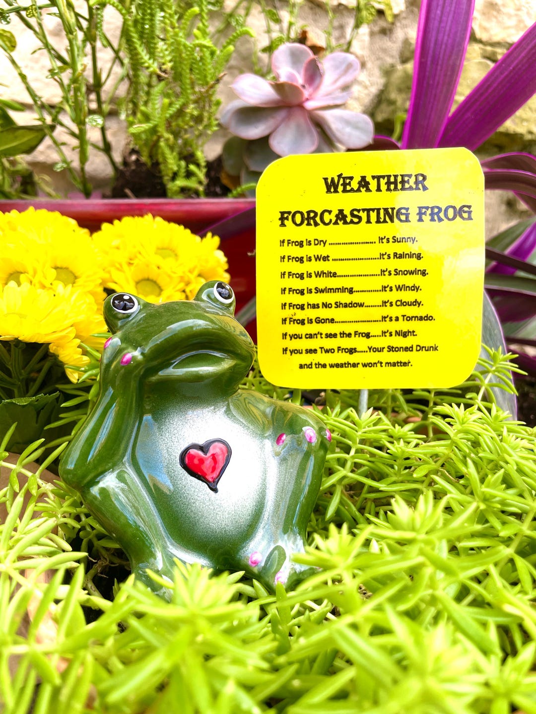 Funny Weather Forecasting Frog for Your Garden,frog Lover Gift Weather ...