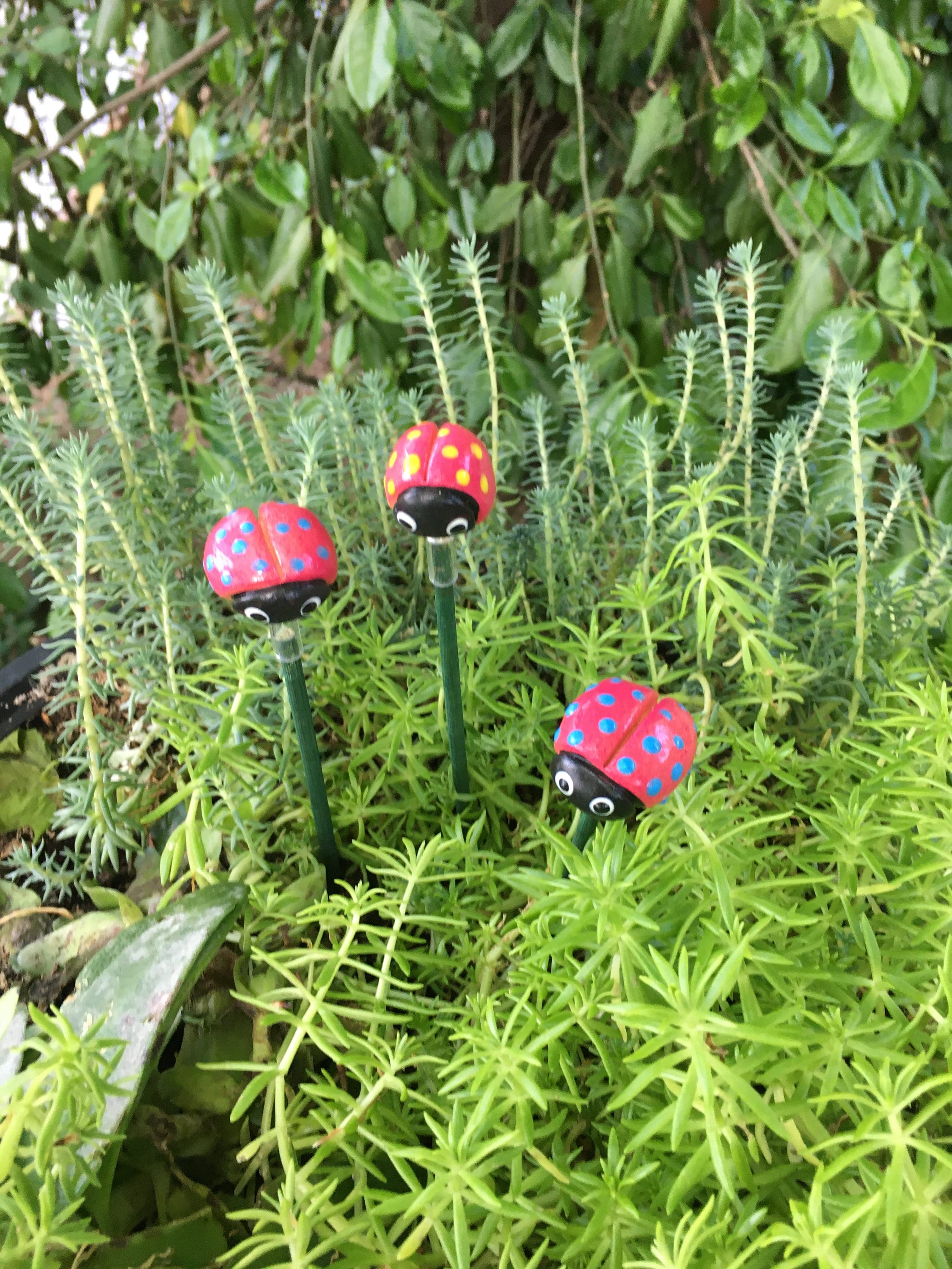 3 Ceramic Ladybug Garden Stakes,PINK Ladybugs, Garden Stakes,Potted ...