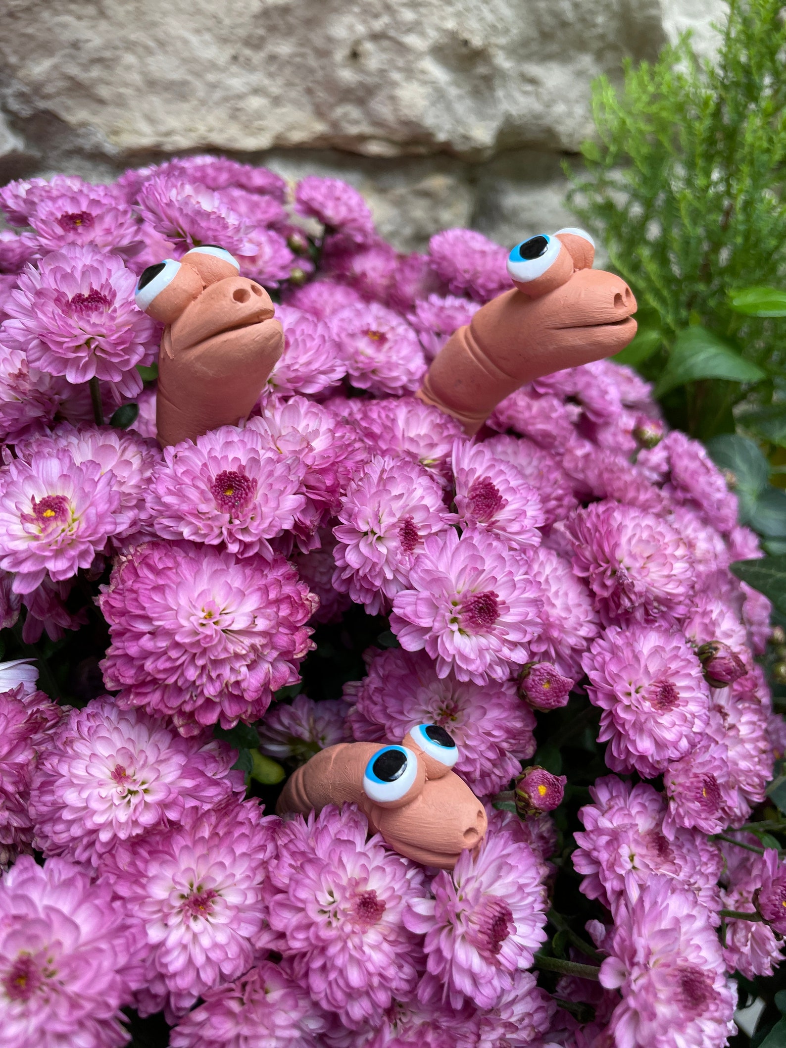 Worms for Your Gardenwater Sensor Wormgarden Worm - Etsy