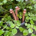 3 Ceramic Worms for Your Garden or Planters,8'' Garden Decoration ...