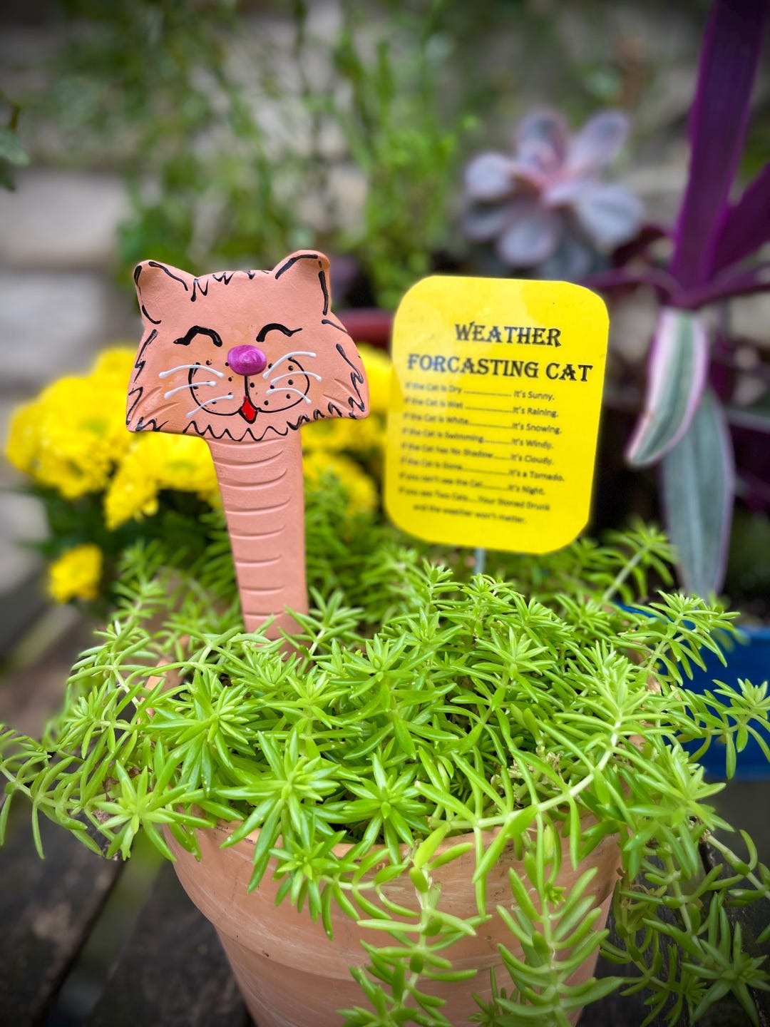 Funny Weather Forecasting Cat for Your Garden,cat Lover Gift Weather ...