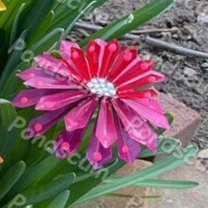 Set of Three Metal Zinnia Flower Garden Stakes,yard Decoration, Metal ...