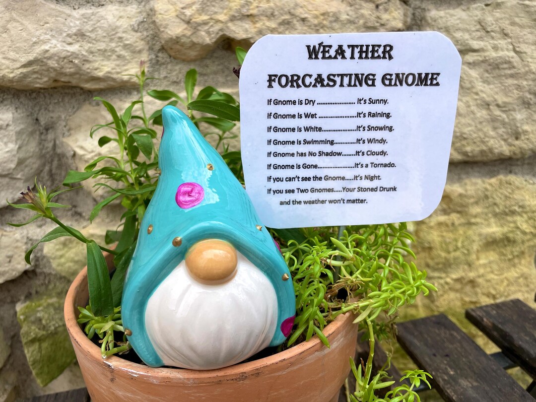 Funny Weather Forecasting Gnome for Your Garden Weather Forecaster ...