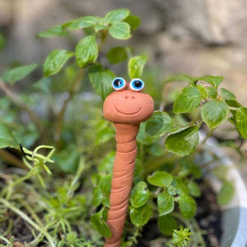 Worms for Pot - Etsy