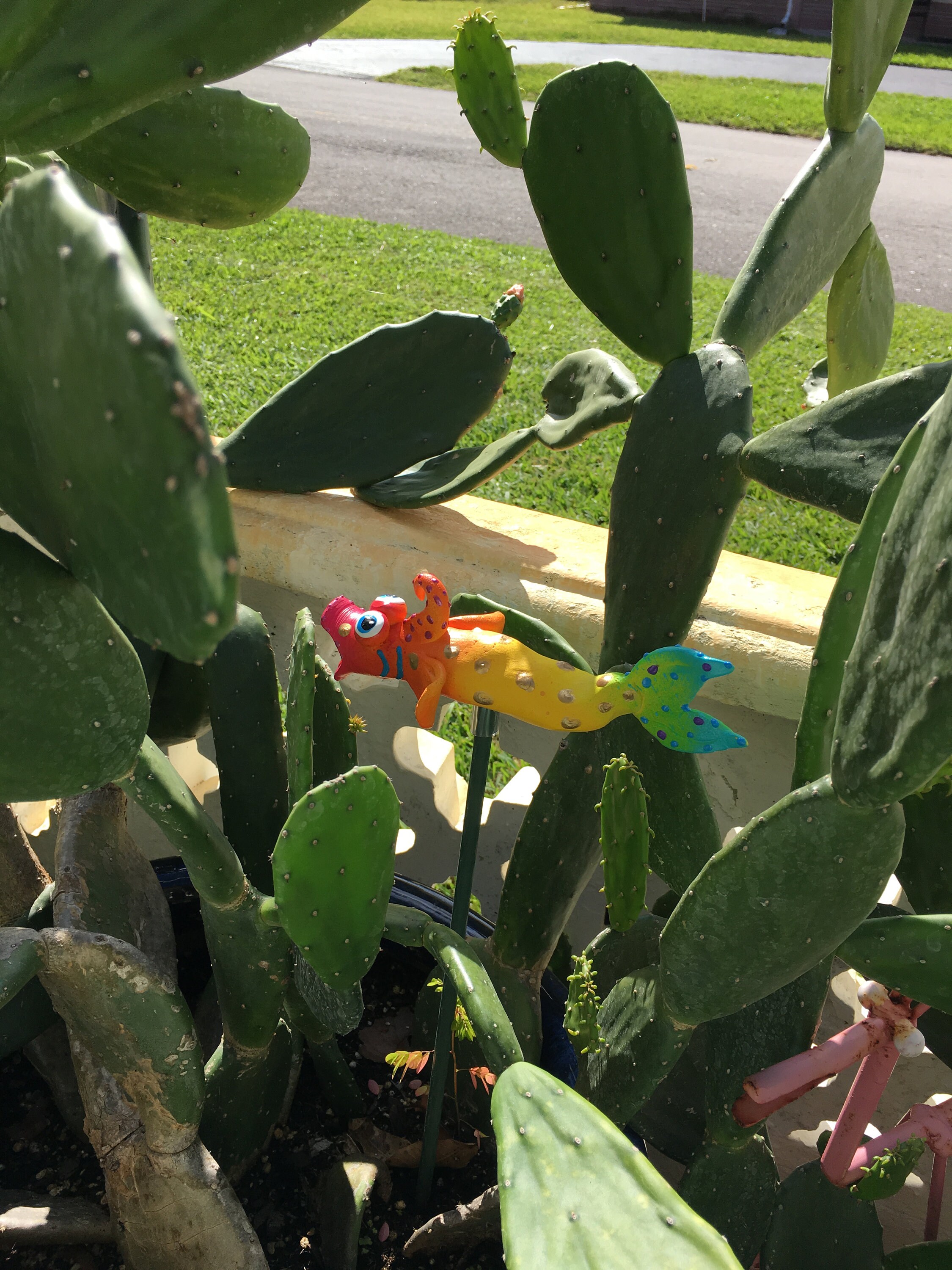 Ceramic Fish Garden Stake, Ceramic Funky Fish Garden Stake,Fish, Garden ...