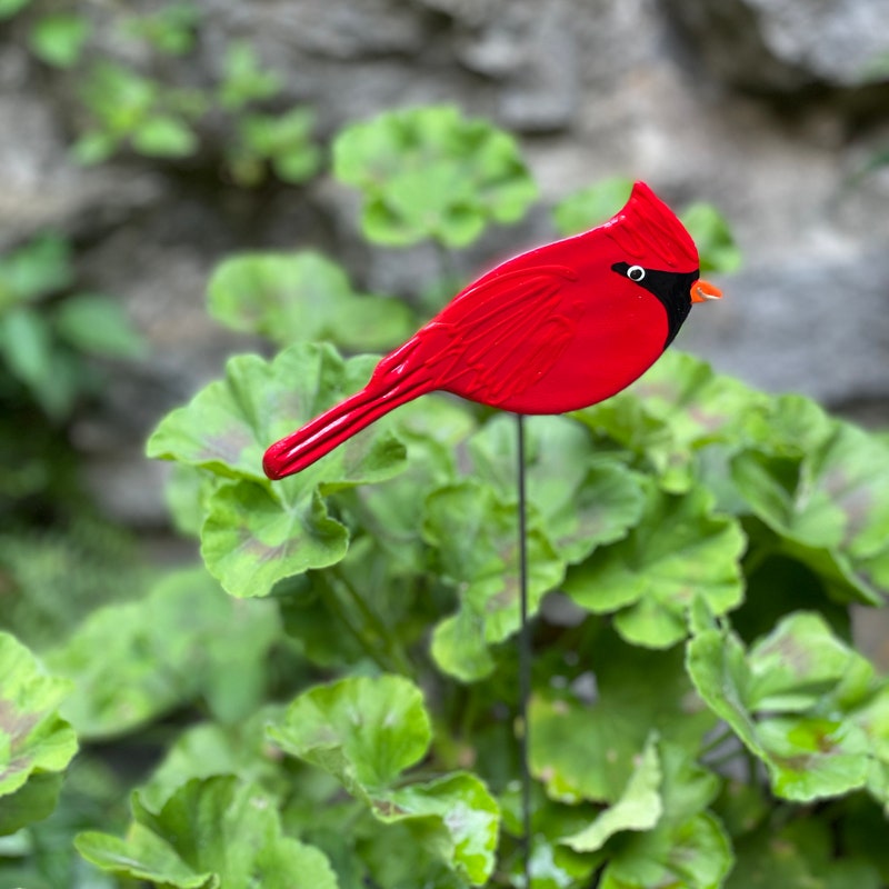 Red Bird Outdoor Sign - Etsy