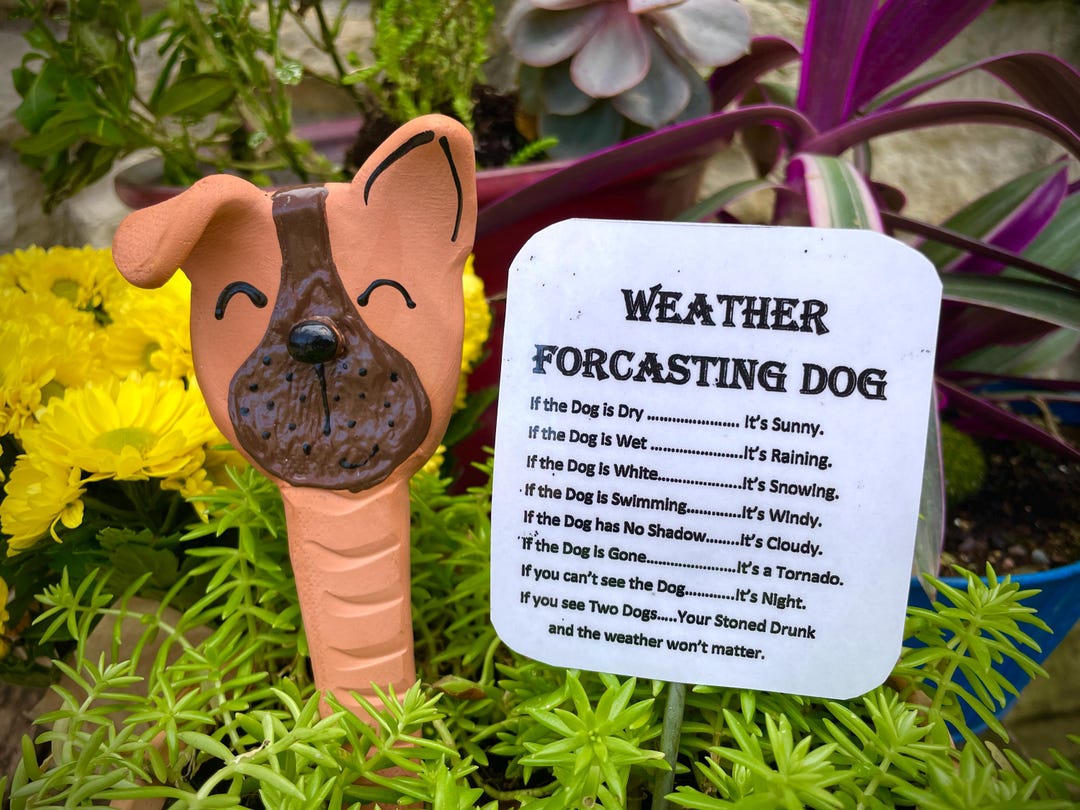 Funny Weather Forecasting Dog for Your Garden, Dog Lover Gift Weather ...