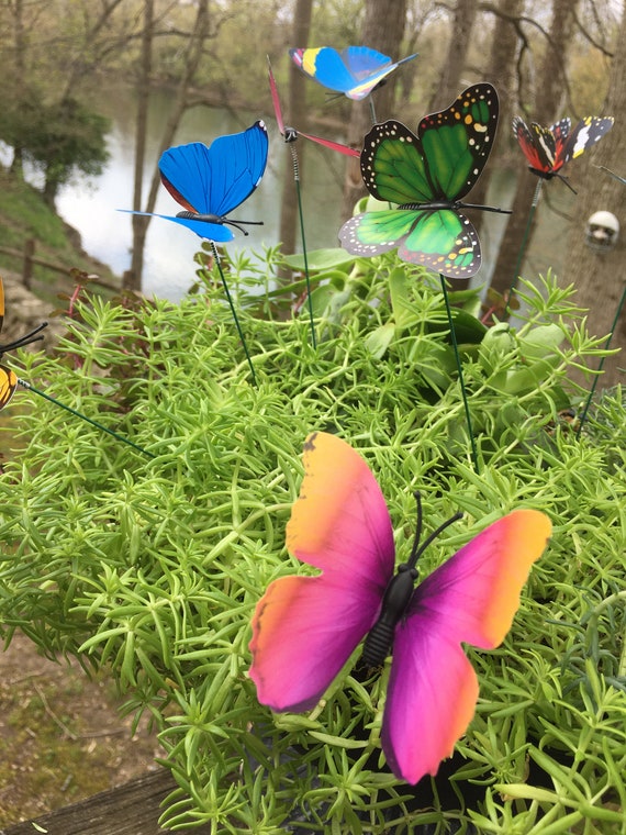 6 Butterfly Garden Stakes Garden Stakespotted Plants Great | Etsy