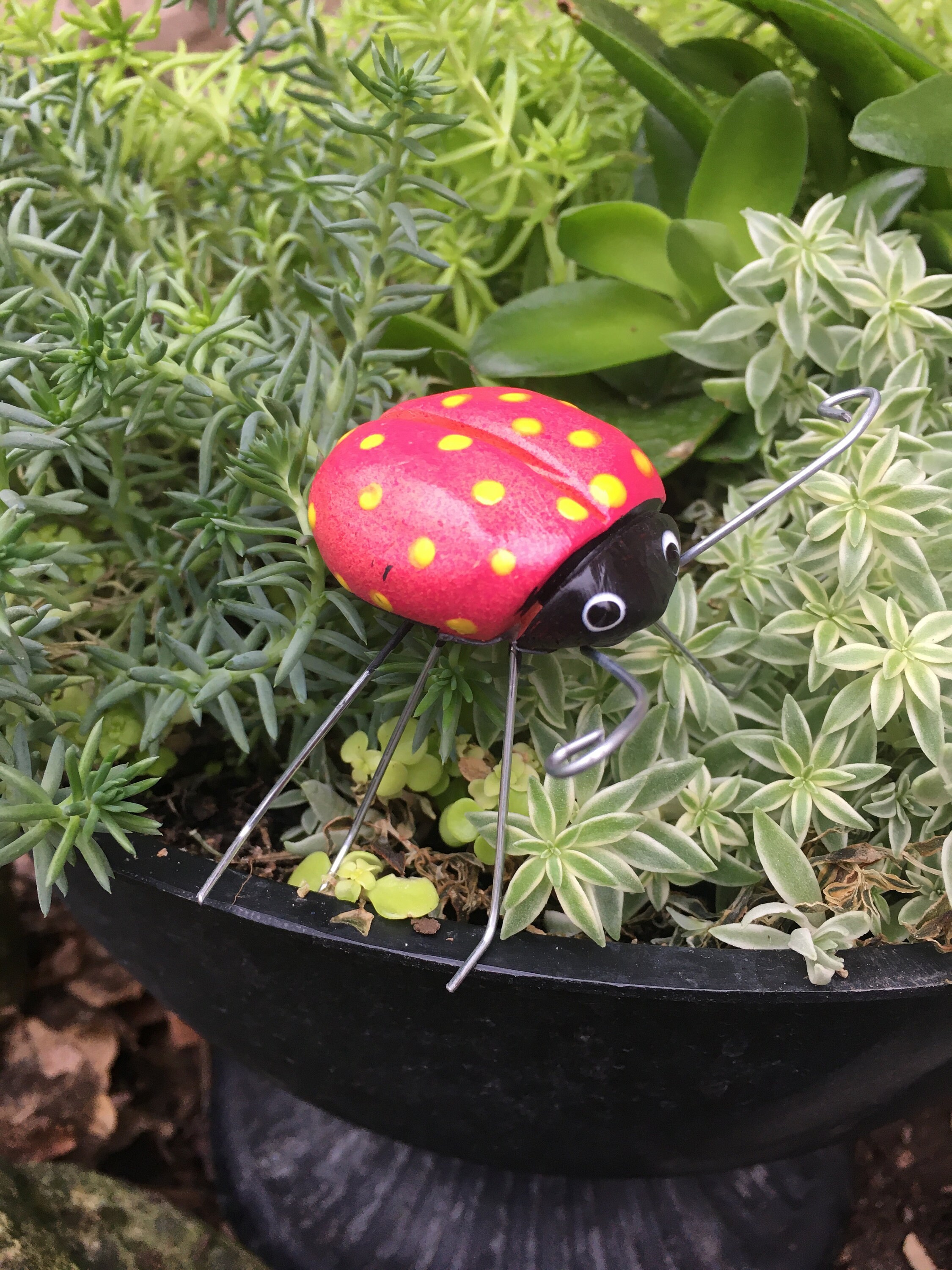 Screen Bug, Screen Bug Sculpture,Clay Screen Bugs, Insect Art Sculpture ...