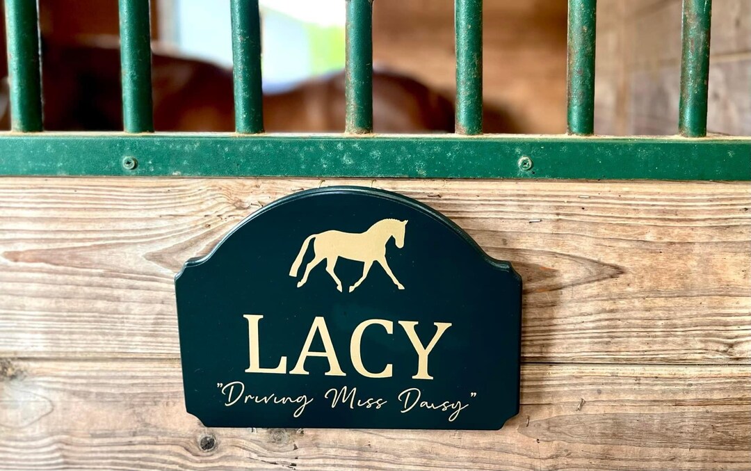 Personalized Horse Stall Name Sign | Custom Wood Plaque With Vinyl ...