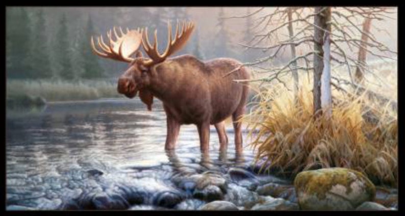 Large, Bull Moose Panel From Elizabeth's Studio. Panel is Titled in His ...