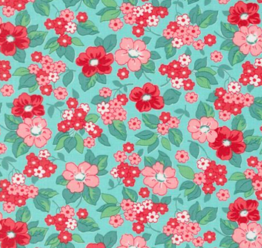 30's Playtime With Aqua Background and Pink and Red Floral Design.. - Etsy