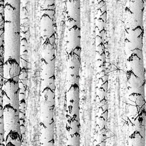 Birch Tree Fabric - Etsy
