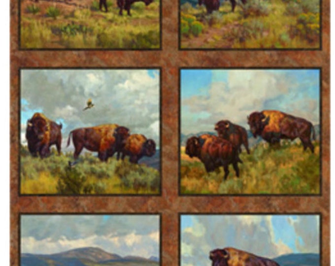 Northcott Fabric's "home on the Range" Fabric Panel With Buffalo Blocks ...