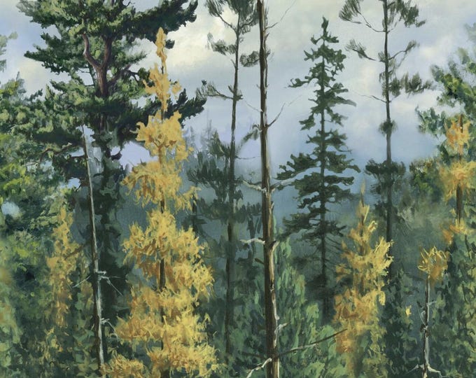 Northcott Fabrics' "naturescapes" Forest and Trees Scene. - Etsy