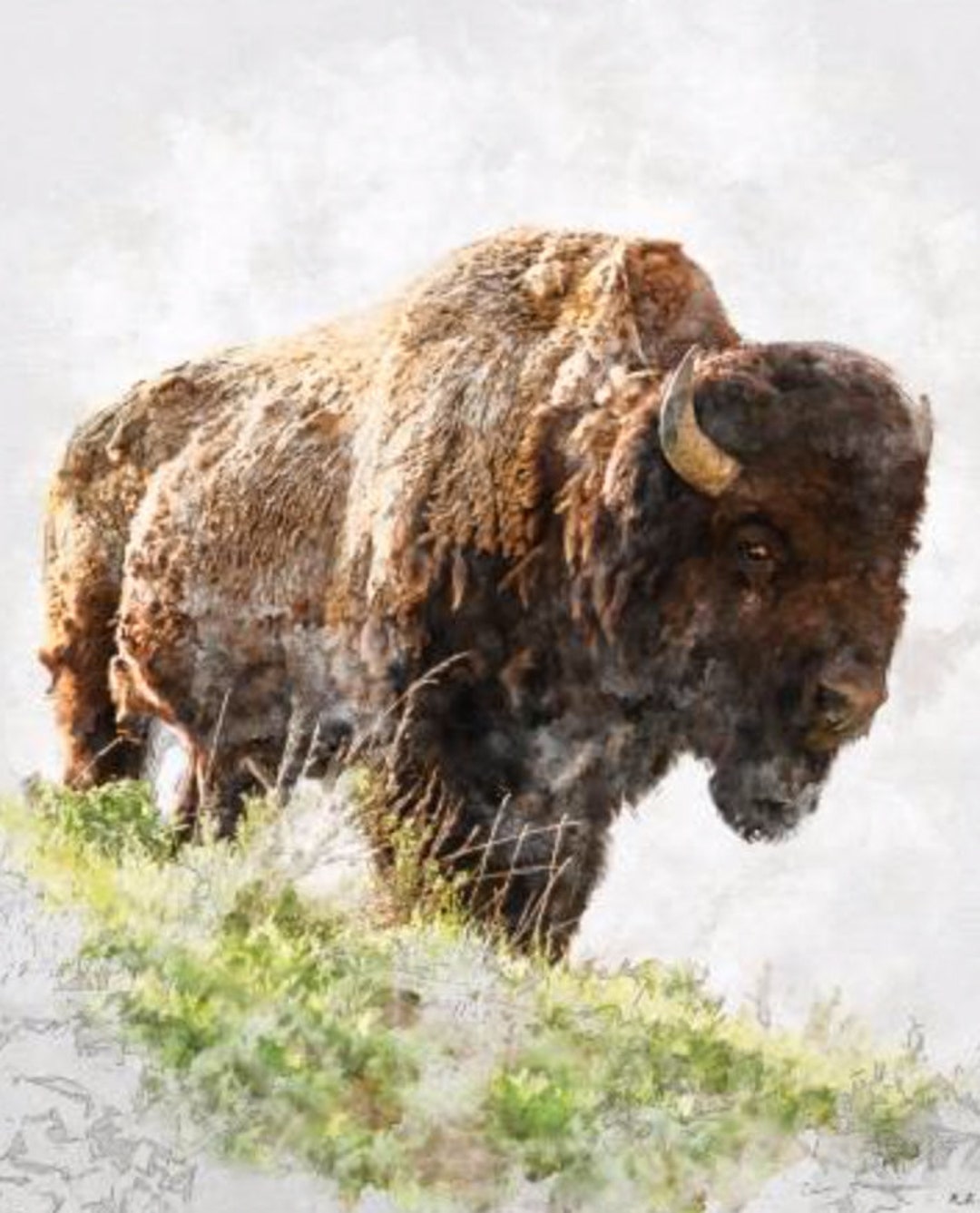 Buffalo Panel by Anderson Group From Riley Blake Designs. - Etsy