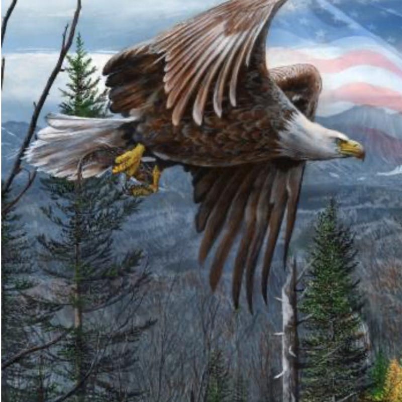 Eagle Fabric Panels - Etsy
