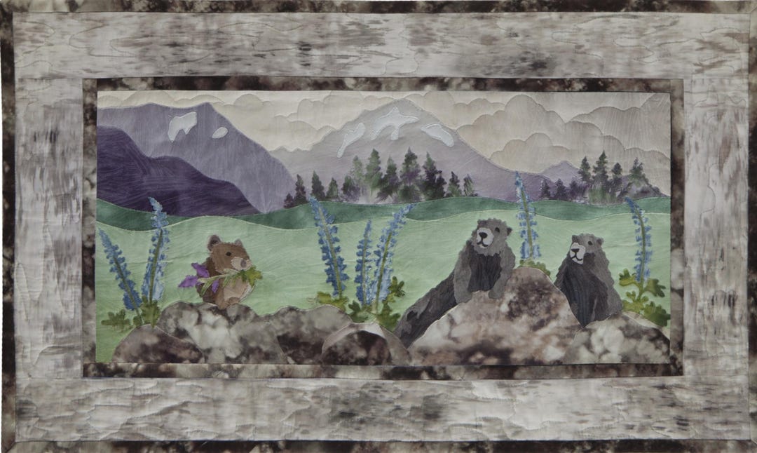 True North Series of Patterns by Mckenna Ryan. This Pattern is Called ...