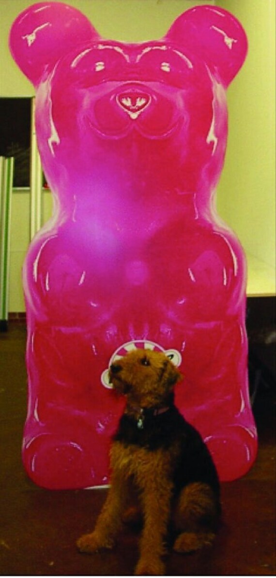 Life Size Animal Cardboard Cutouts