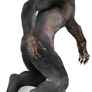 Scary Werewolf Cardboard Cutout, Halloween Props, Halloween Party ...