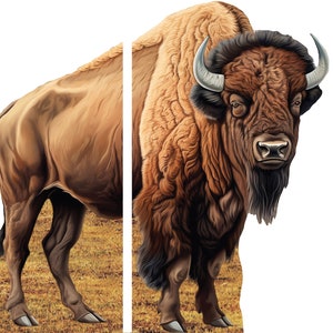 American Bison Cardboard Cutout Prop With Easel 72 Inches Wide X 72 ...