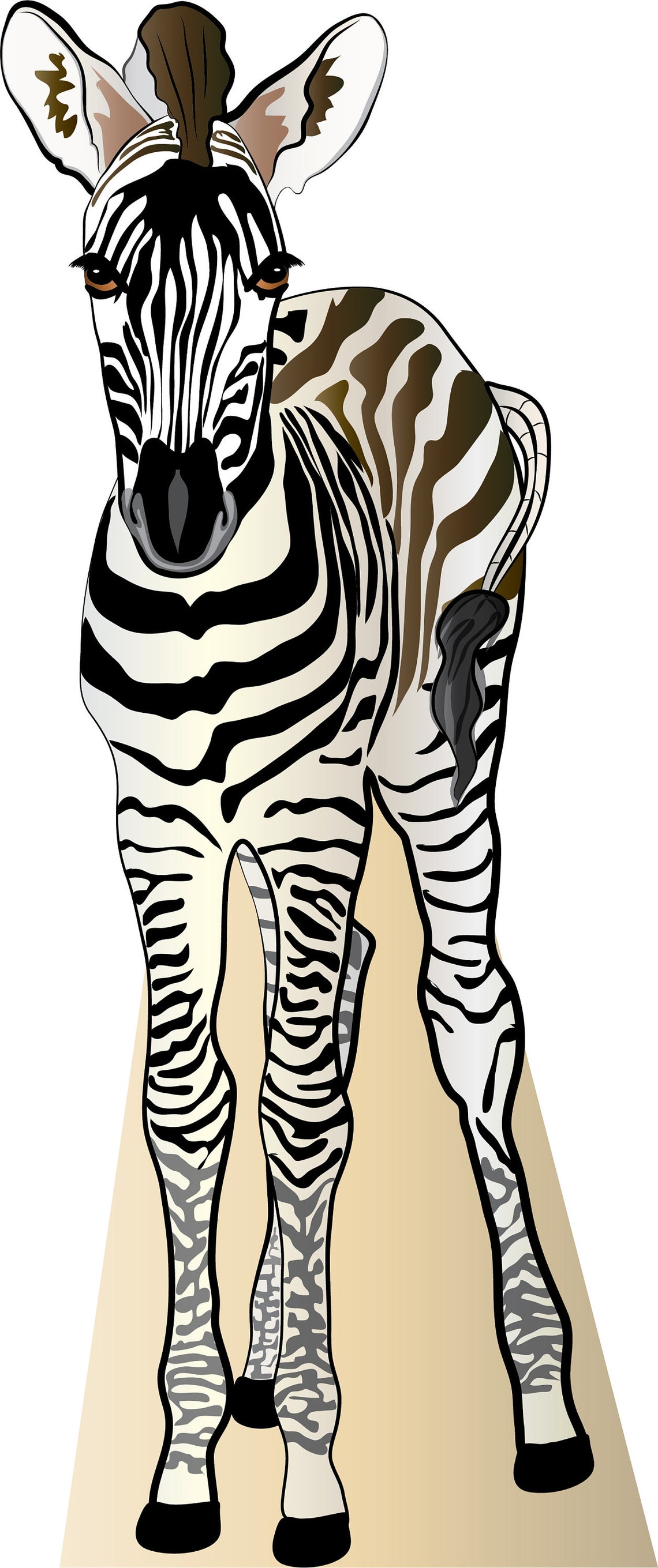Baby Zebra Cardboard Cutout for Baby Shower Birthday Party or - Etsy