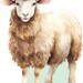 Sheep Cardboard Cutout Prop With Easel on the Back - Etsy