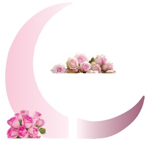Large Pink Cardboard Moon With Roses, Wedding Entrance Prop, Theme ...