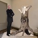 Scary Tree Cardboard Cutout Prop, Free Standing With Easel on Back - Etsy