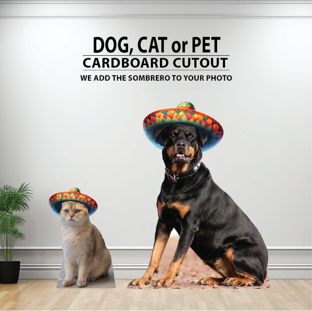 Dog Cat or Pet Cardboard Cutout We Will Add the Sombrero, Easel on the ...