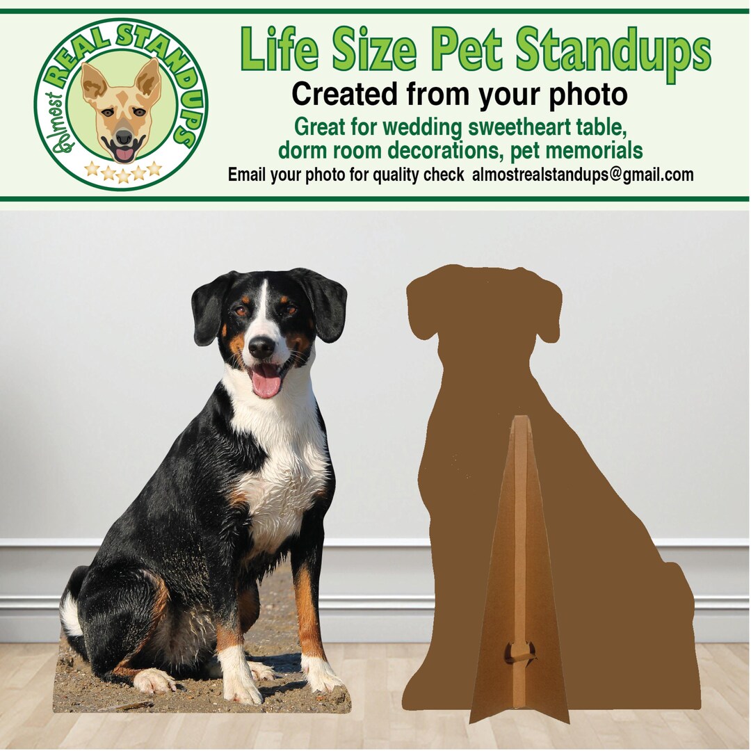 Dog Cardboard Cutout From Your Photo, With Easel on the Back - Etsy