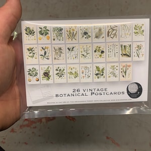 Botanical Postcard Set - Set of 26 Postcards - Vintage - Nature ...