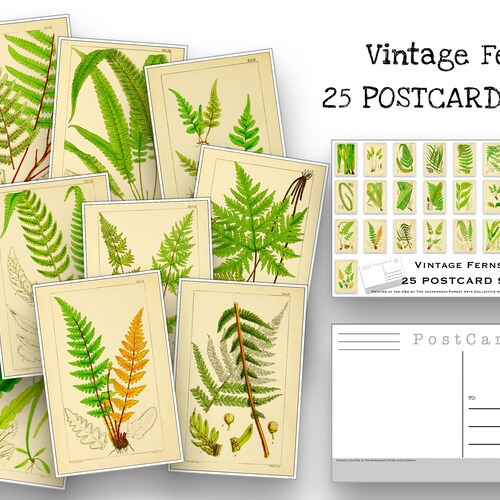 Natural Wonders Postcard Set2 Set of 20 Postcards - Etsy