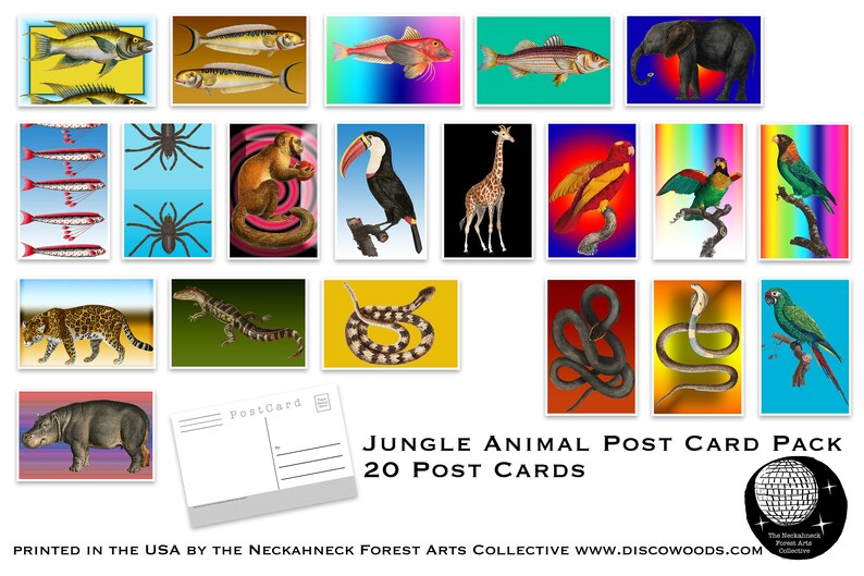 Jungle Animals Postcard Set Set of 20 Postcards Safari | Etsy