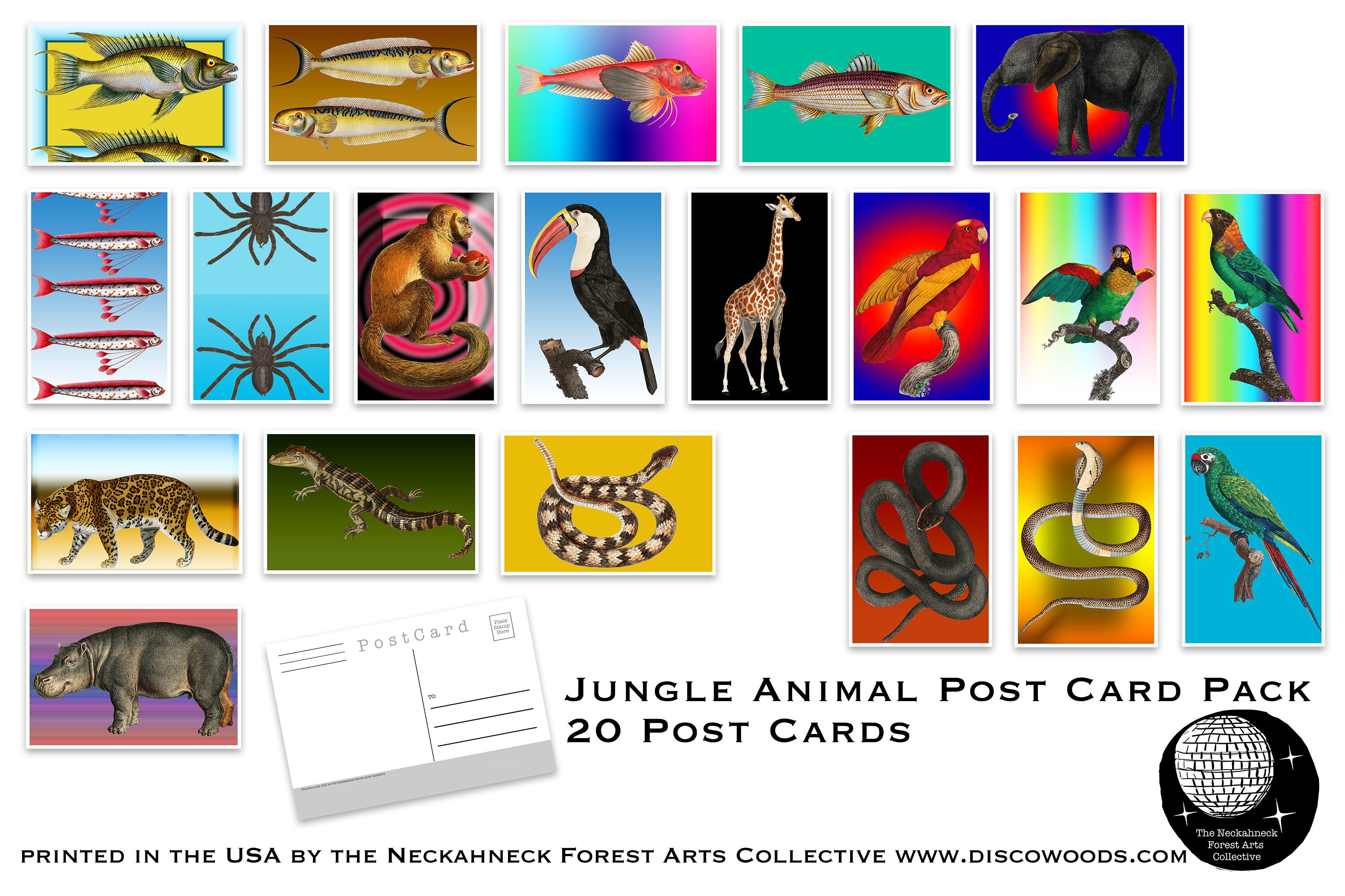 Jungle Animals Postcard Set Set of 20 Postcards Safari | Etsy