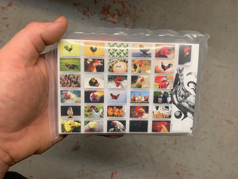 Chickens Postcard Set 31 Post Cards Chicken Art | Etsy