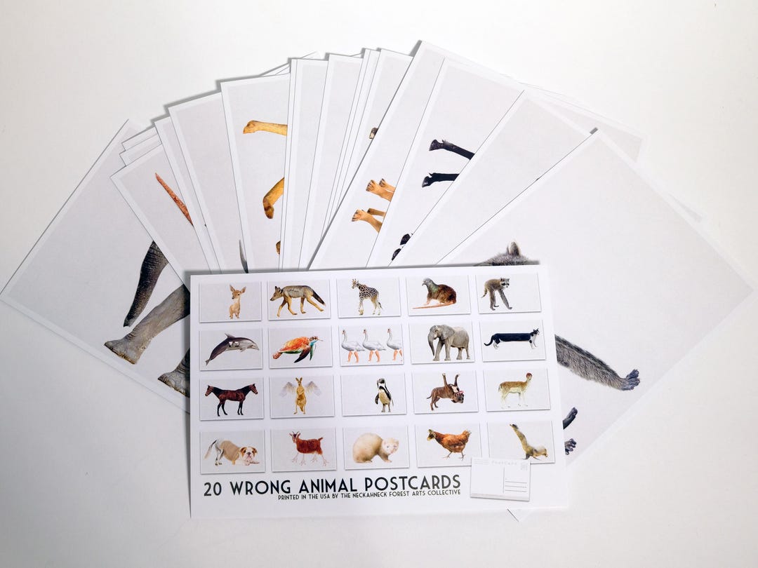 Wrong Animals Postcard Set - Set of 20 Postcards - Imaginary Animals ...