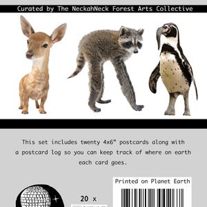 Wrong Animals Postcard Set - Set of 20 Postcards - Imaginary Animals ...