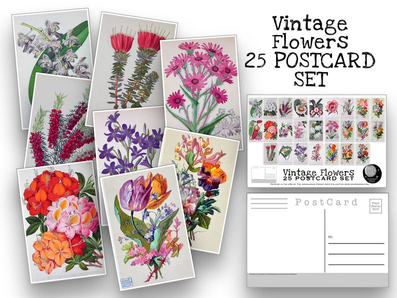 Vintage Flower Postcard Set Set of 25 Postcards Floral - Etsy